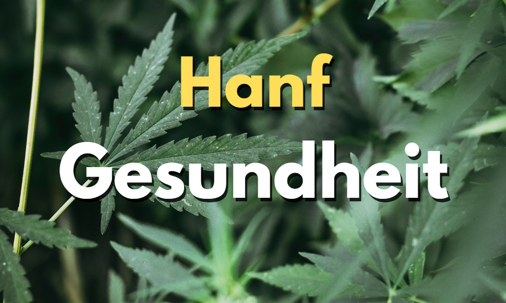 Legalisierung von Hanf und die öffentliche Gesundheit › Bella Vita ...